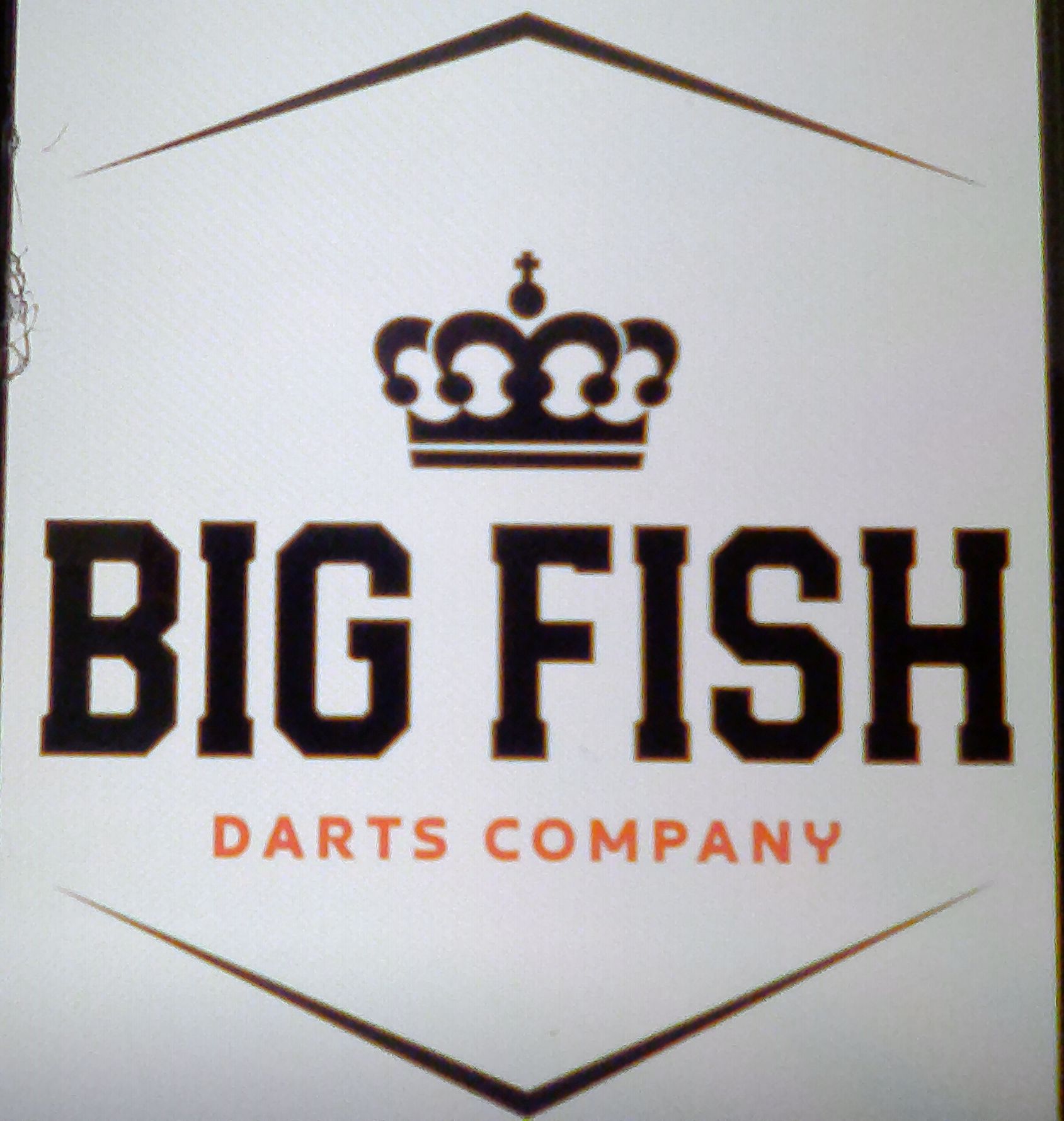 Match center - DartsSpace | Tournament platform